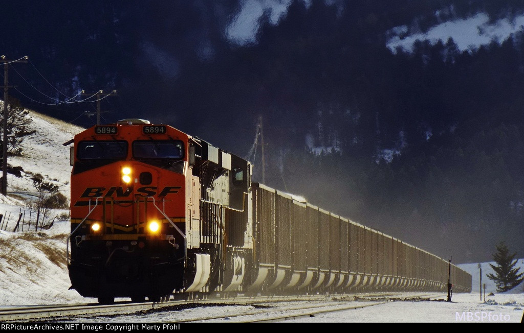 BNSF 5894 Muir